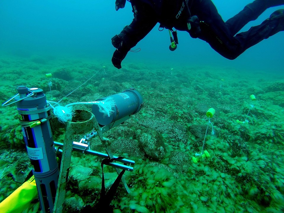 Management & Control - Invasive Mussel Collaborative